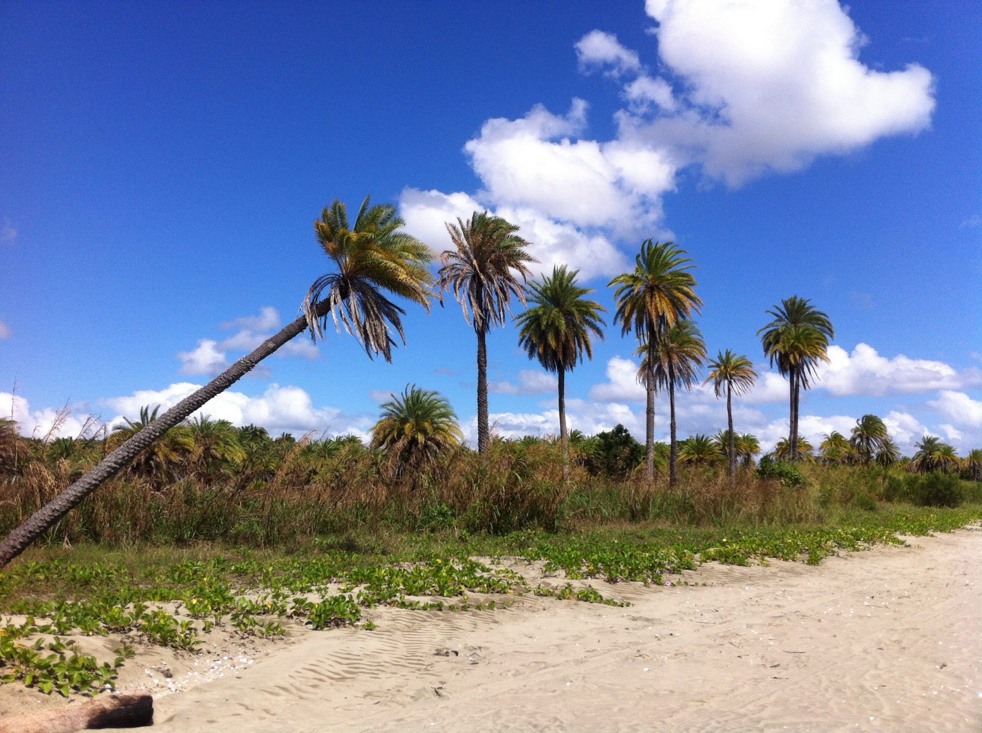 5 beautiful places you have to see in Fiji • TTT • Travel & Adventure Blog