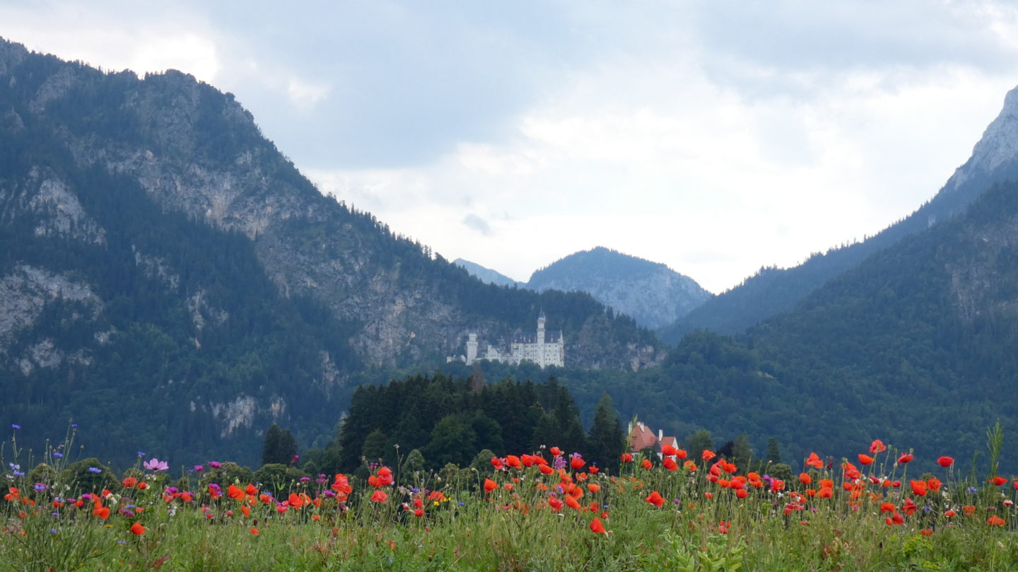 1 Day Füssen Itinerary & The Top Things To Do In Füssen • TTT • Travel ...