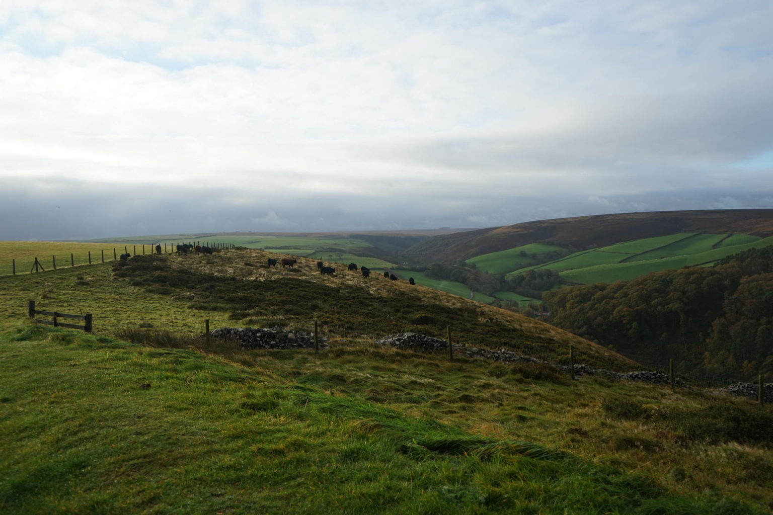 Exmoor Itinerary: How To Spend 5 Days In Exmoor • TTT