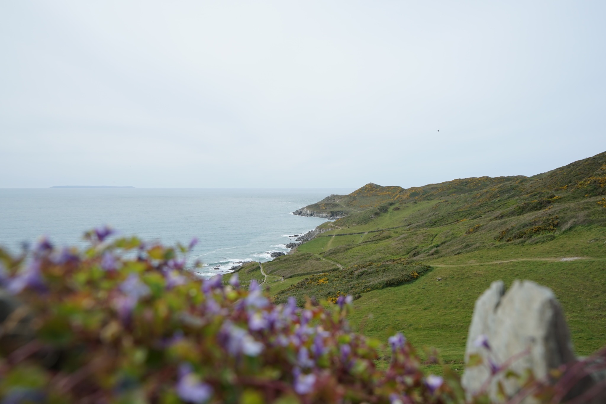 Places to visit in North Devon - 3 road trips • TTT • Travel ...