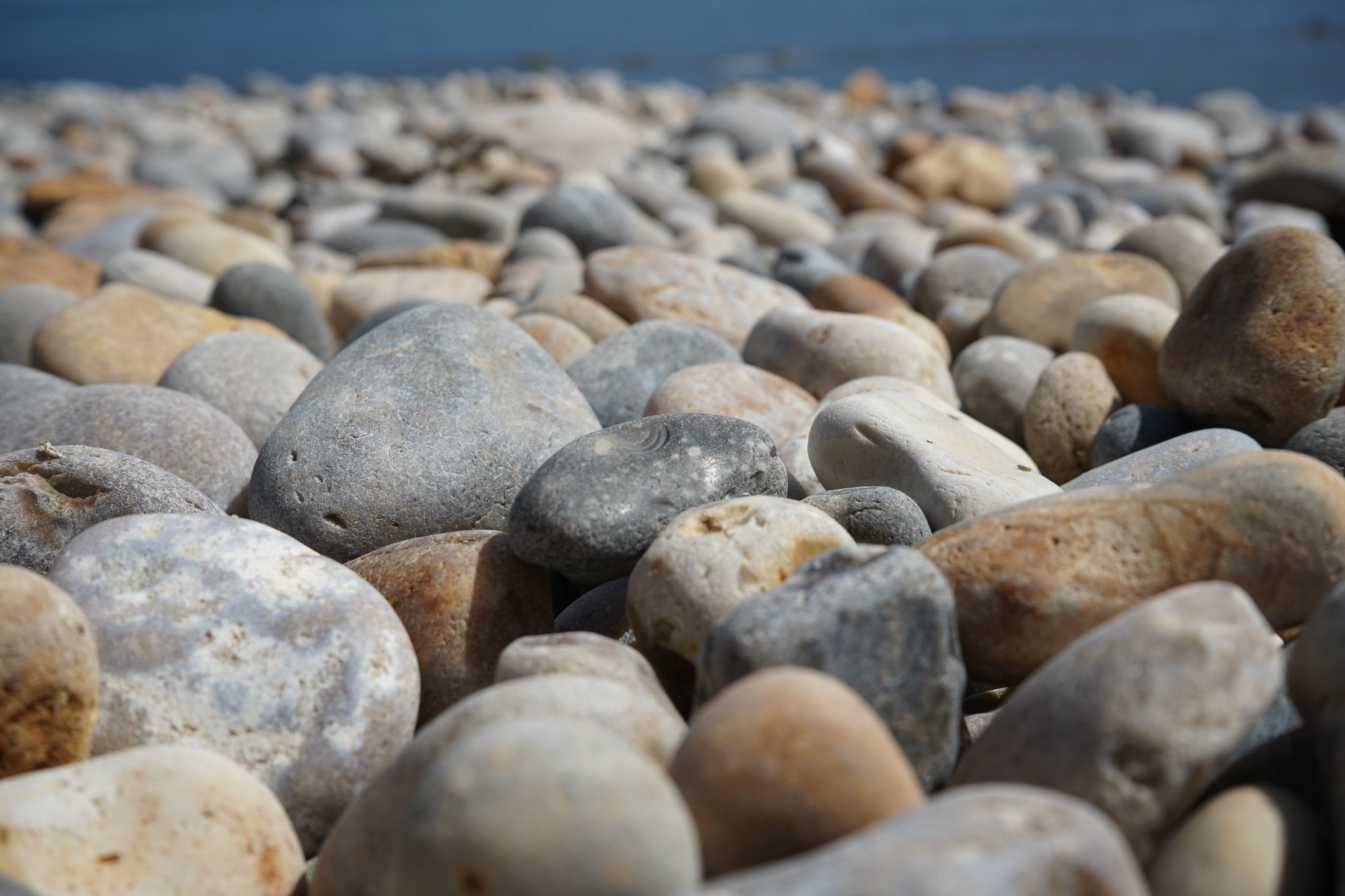 Places to visit in East Devon • TTT • Travel & Adventure Blog