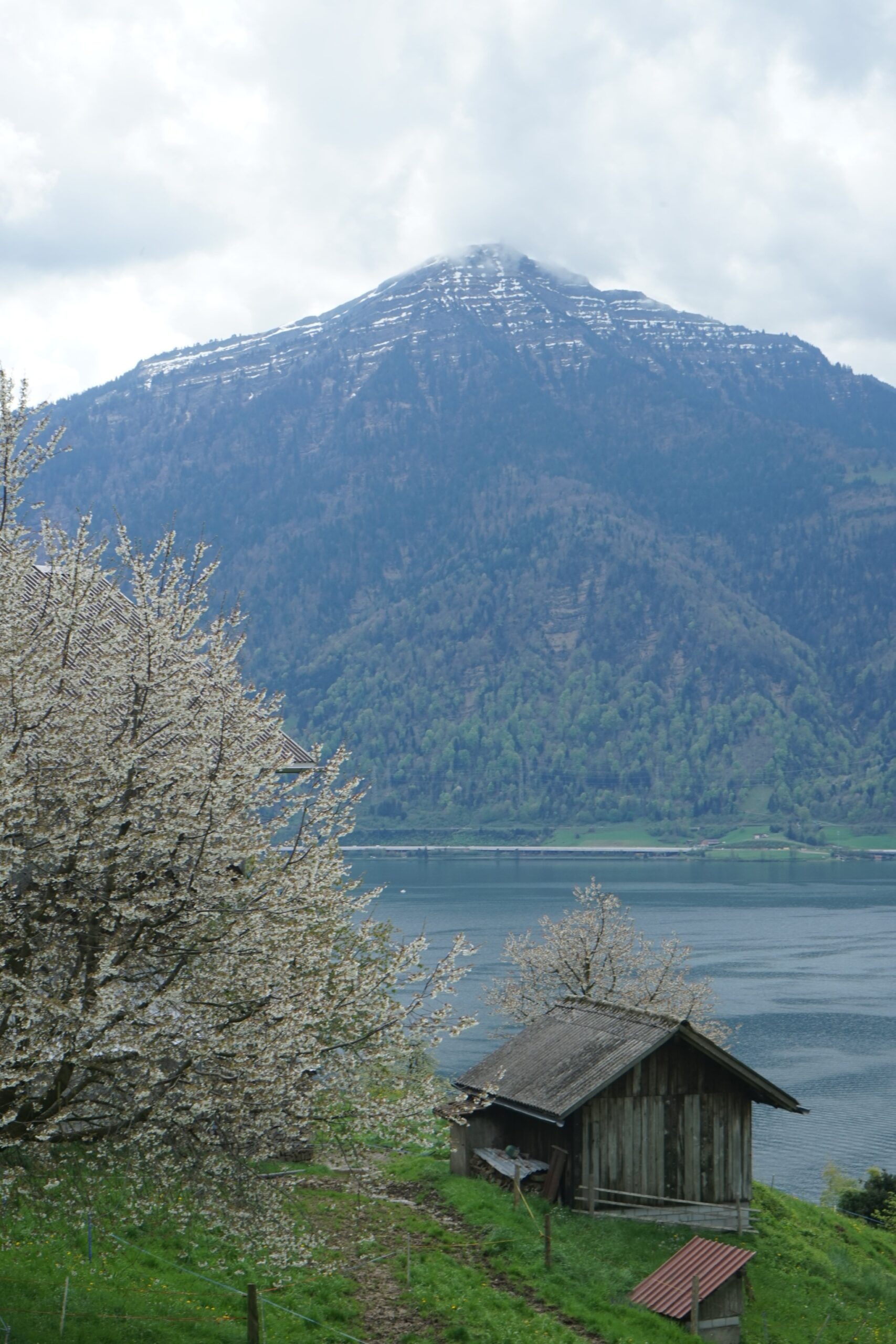 Switzerland in Spring: Best Things To Do & Places To Go By A Local