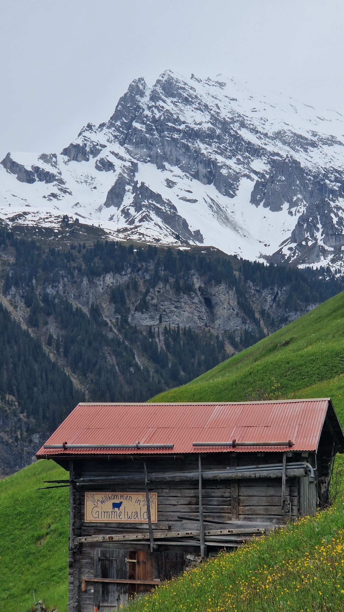 Switzerland in Spring: Best Things To Do & Places To Go By A Local