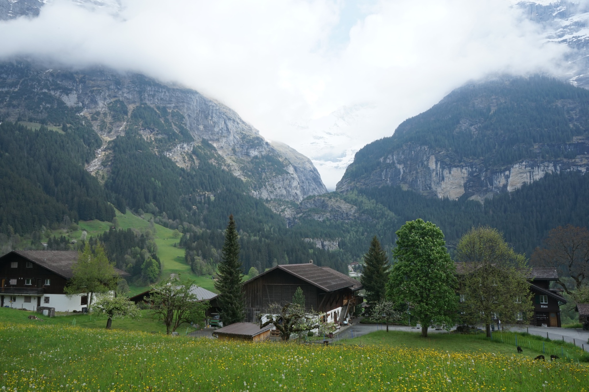 Is Grindelwald Worth Visiting? Things To Do & Reasons To Visit