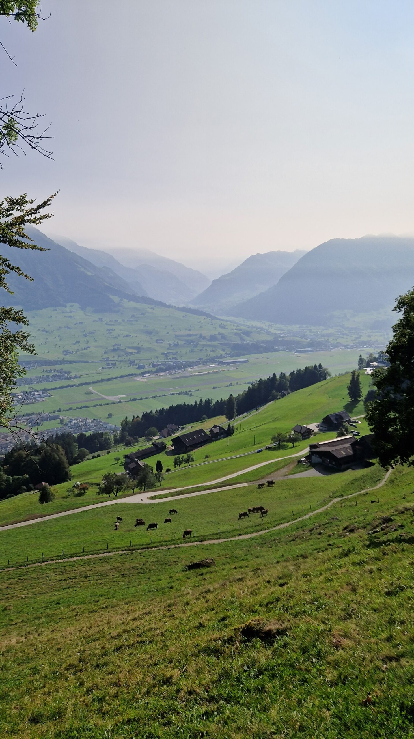 Switzerland in Summer: Best Things To Do & Places To Go By A Local [2024]