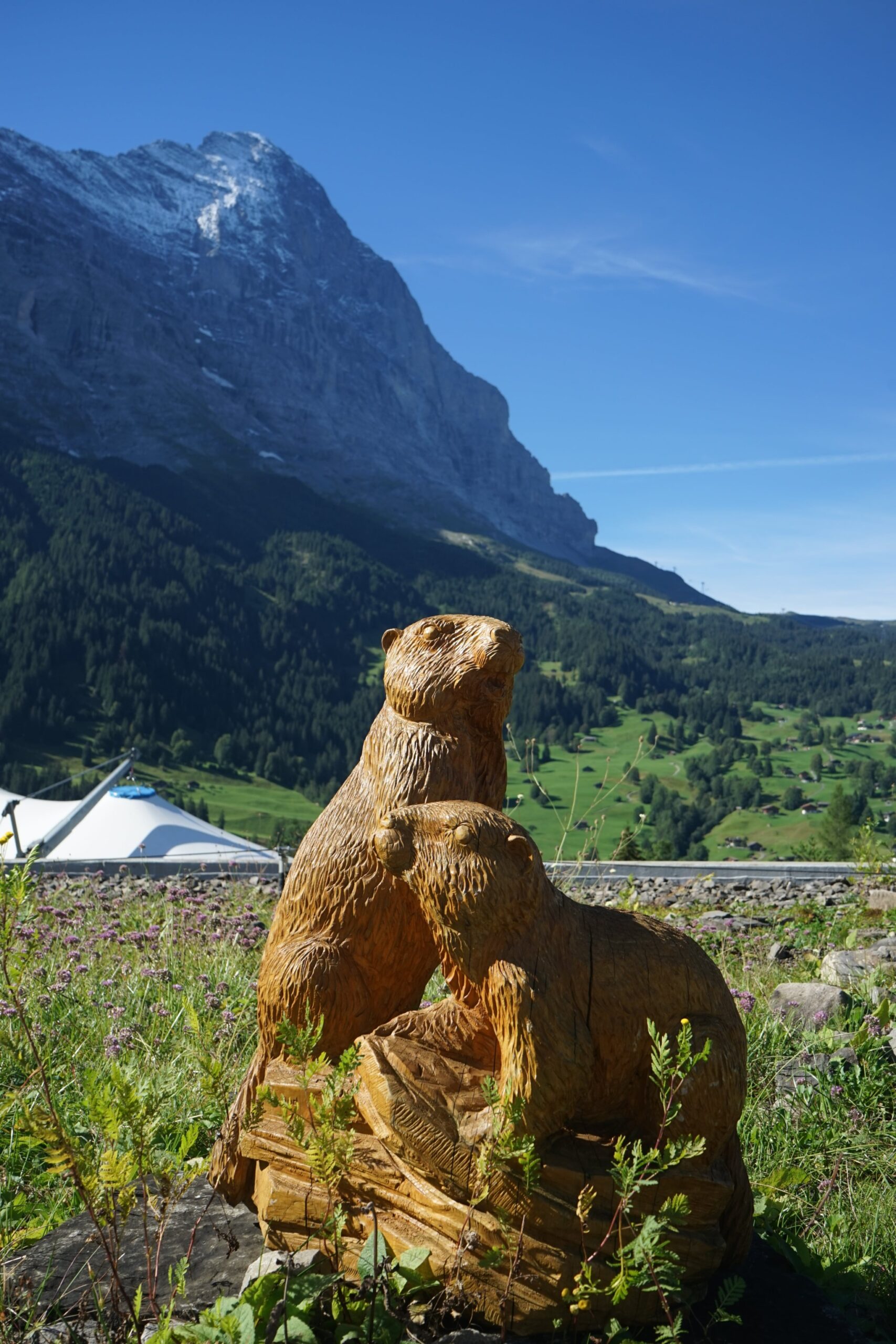 Is Grindelwald Worth Visiting? Things To Do & Reasons To Visit