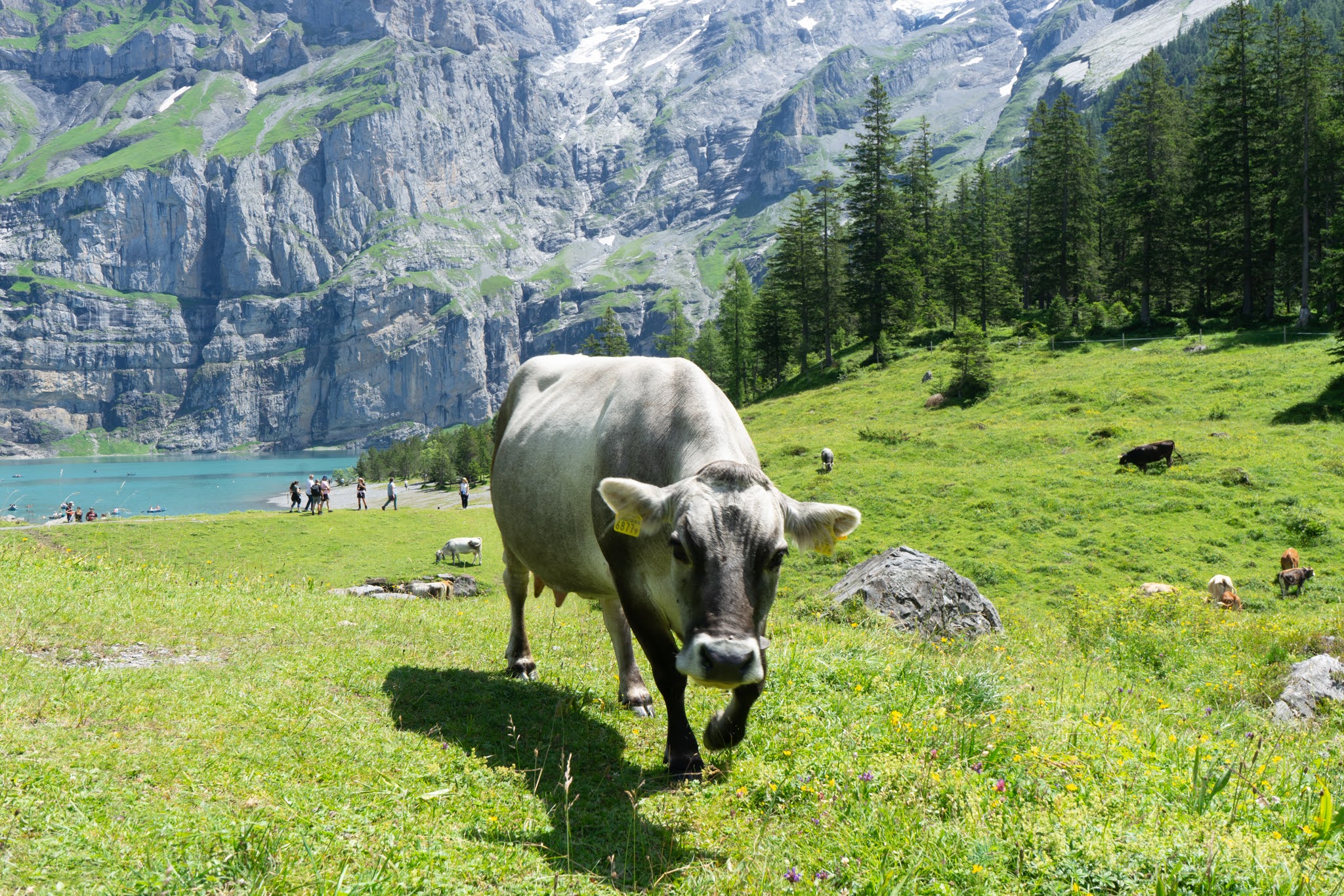 The Best 1 Day Kandersteg Itinerary • TTT • Travel & Adventure Blog